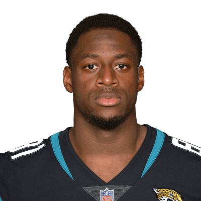 Josh Hammond Stats, News and Video - WR | NFL.com