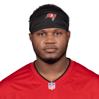 La'Darius Hamilton Stats Summary | NFL.com