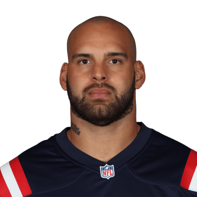 Lawrence Guy Stats Summary | NFL.com