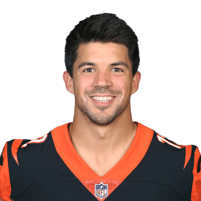 Alex Erickson Stats Summary | NFL.com