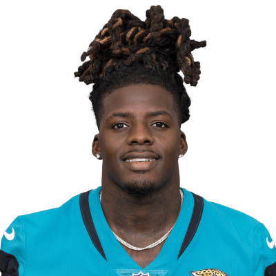 D'Ernest Johnson Stats Summary | NFL.com