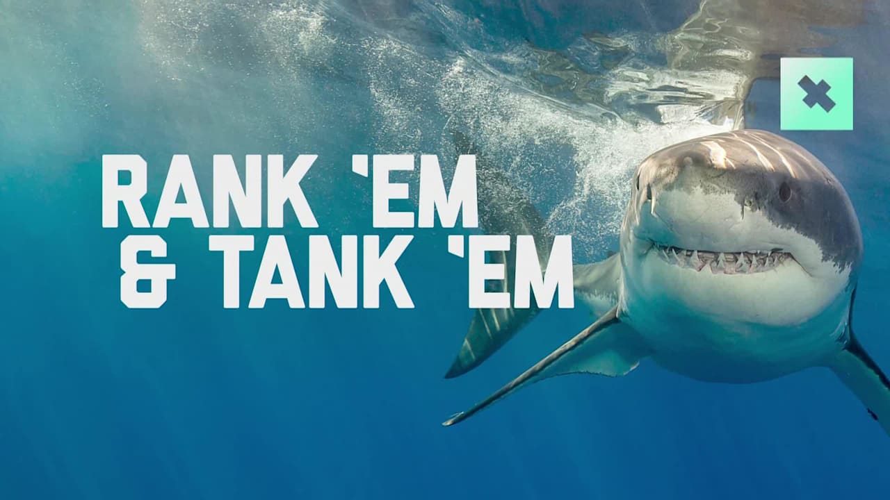 Rank 'Em and Tank 'Em with NFC teams | 'GMFB'