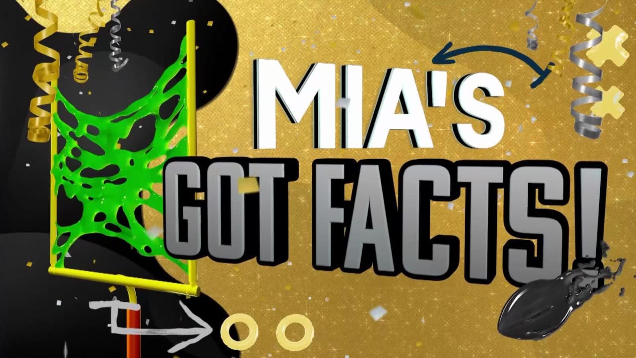 Mia B shares the facts about Chicago Bears wide receiver DJ Moore’s ...