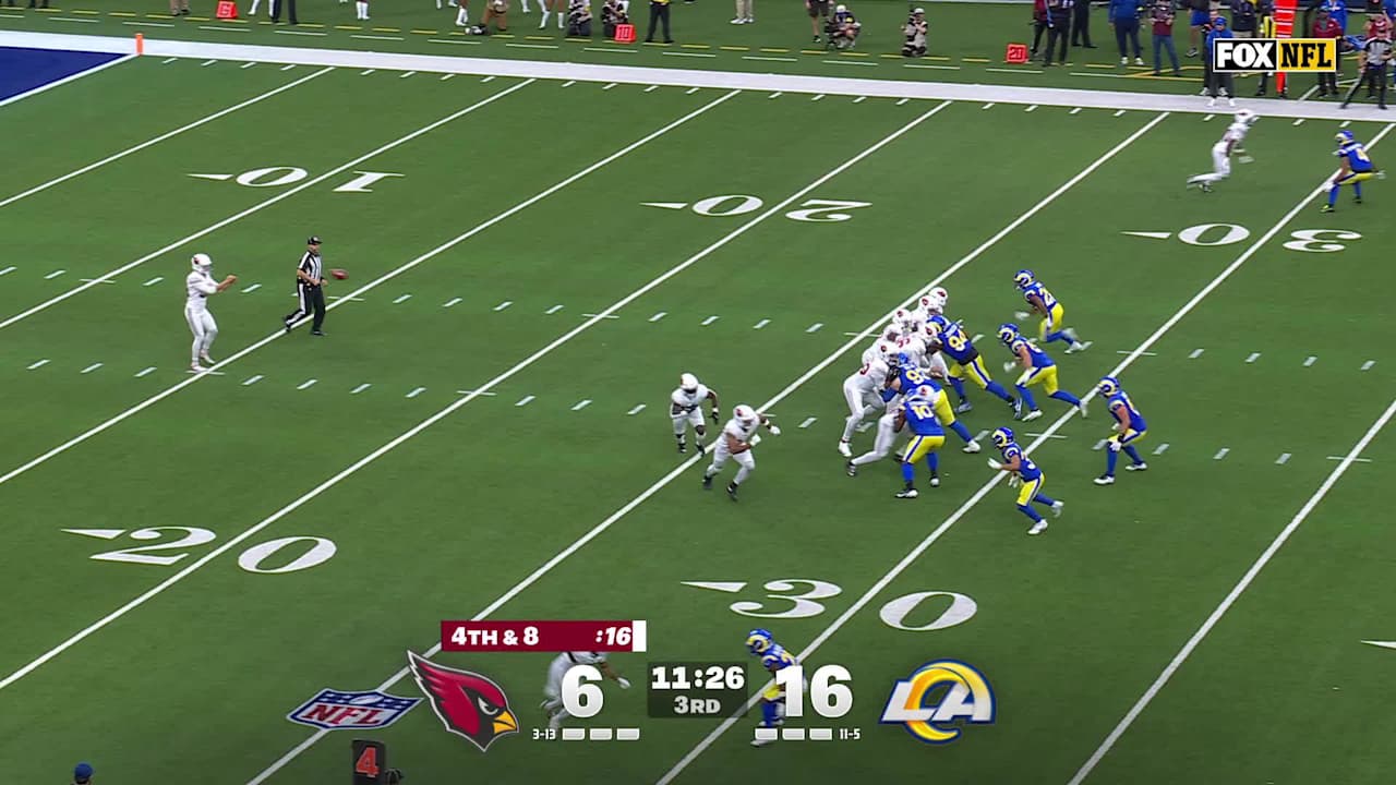 Can't-Miss Play: Fake punt alert! Arizona Cardinals punter Matt Haack ...