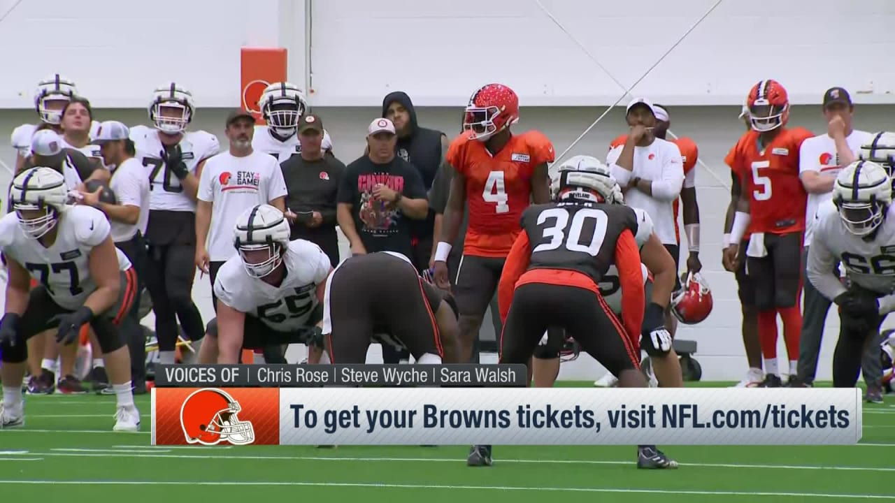 NFL Network's Sarah Walsh: Cleveland Browns quarterback Jameis Winston ...
