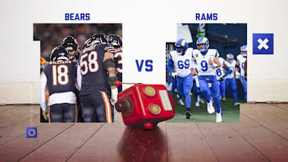 Reggie Bush Bears