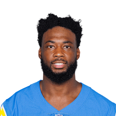 Mike Williams Stats Summary | NFL.com