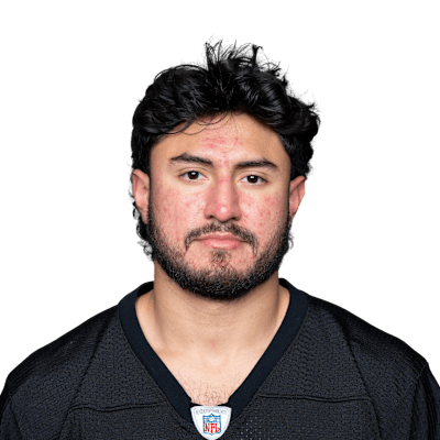 Sebastian Castro Stats, News and Video - SAF | NFL.com