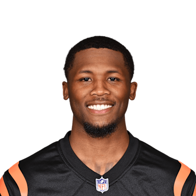 Tee Higgins Stats, News and Video - WR | NFL.com