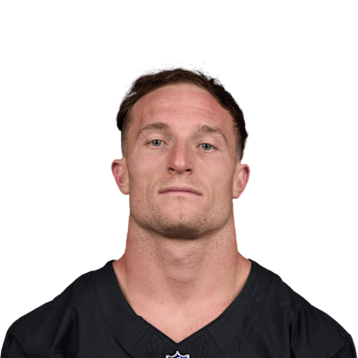 Dylan Laube Stats Summary | NFL.com
