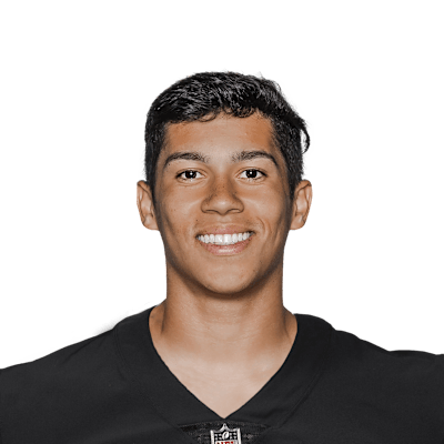 Jesse Matthews Stats Summary | NFL.com