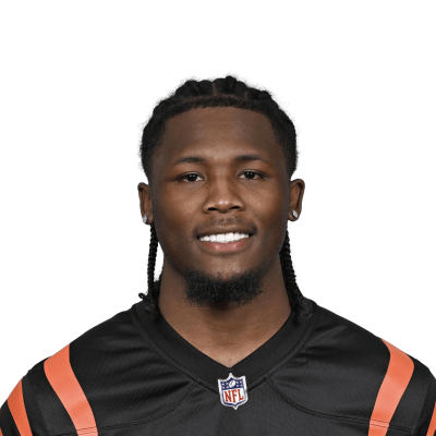 Tee Higgins Stats, News and Video - WR | NFL.com