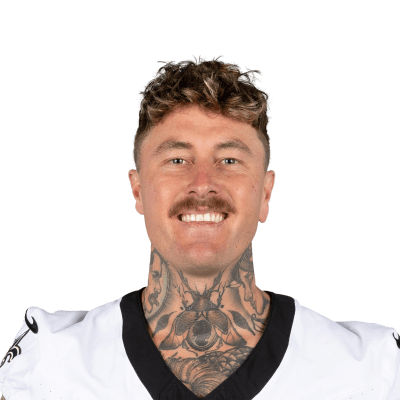 Lou Hedley Stats Summary | NFL.com